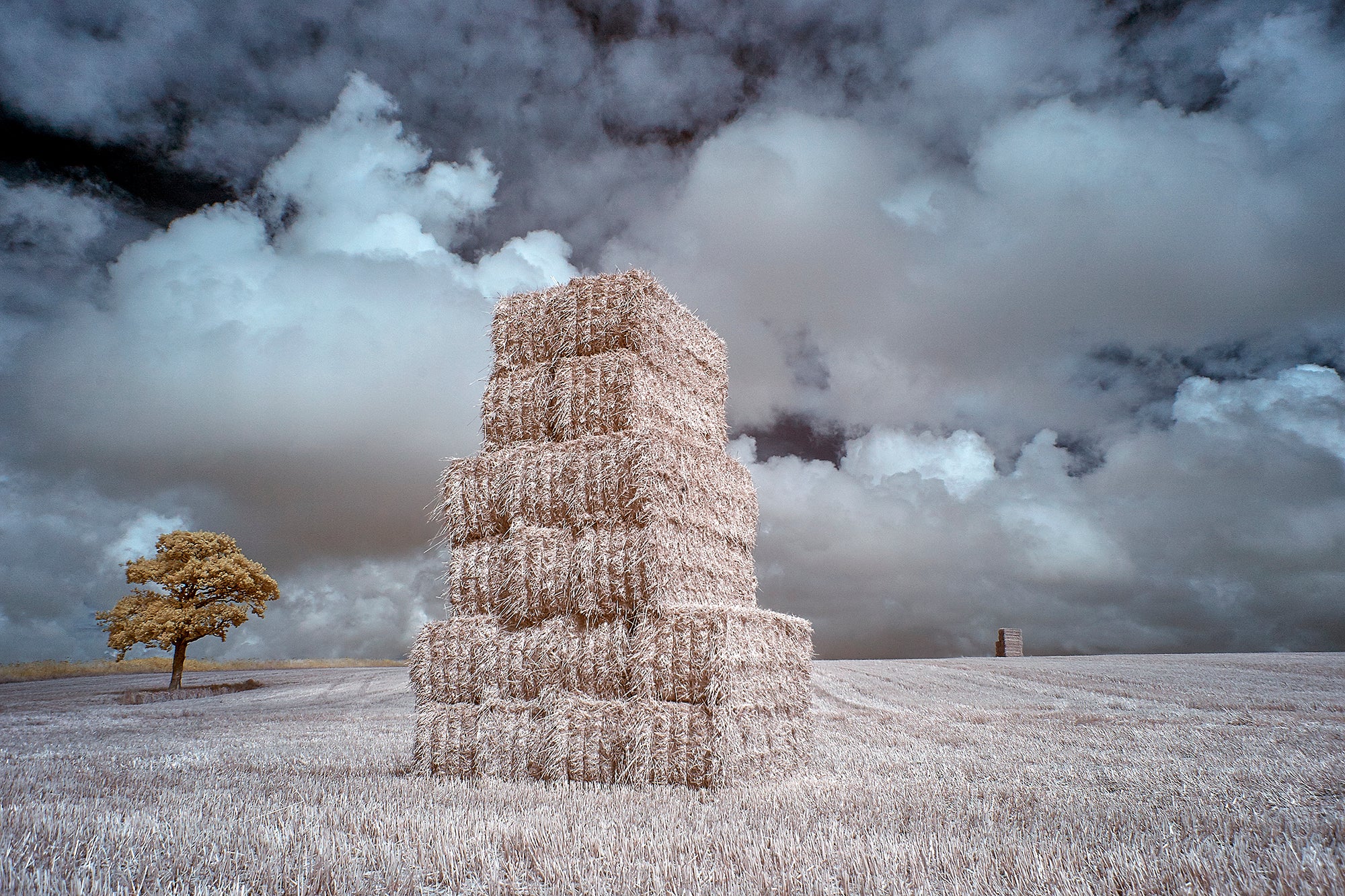 Photographic Prints – Ed Watts Studio